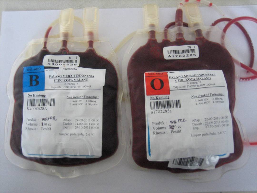 Komponen Darah Packed Red Cells (PRC)